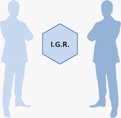 KNOW-HOW AND VALUES | IGR GROUPE – services spécialisés de l’activité ...